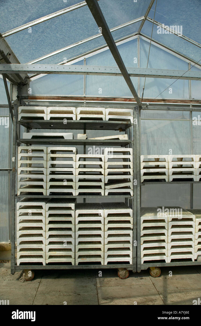 West Sussex, England, UK. Racks of empty polystyrene trays inside ...
