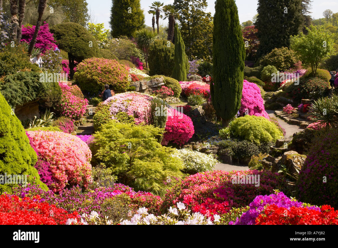 Leonardslee gardens hi-res stock photography and images - Alamy