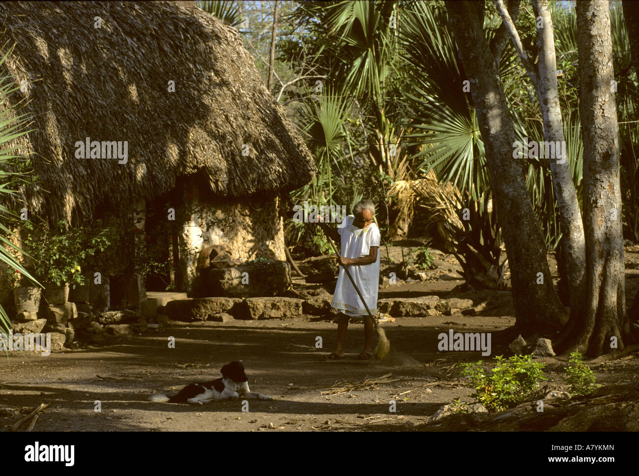 Daily life, Traditional Mayan house, Mexico Stock Photo - Alamy