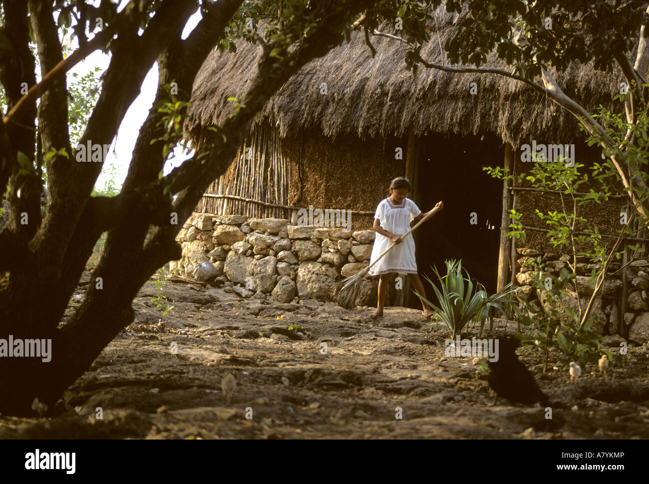Daily life, Traditional Mayan house, Mexico Stock Photo - Alamy