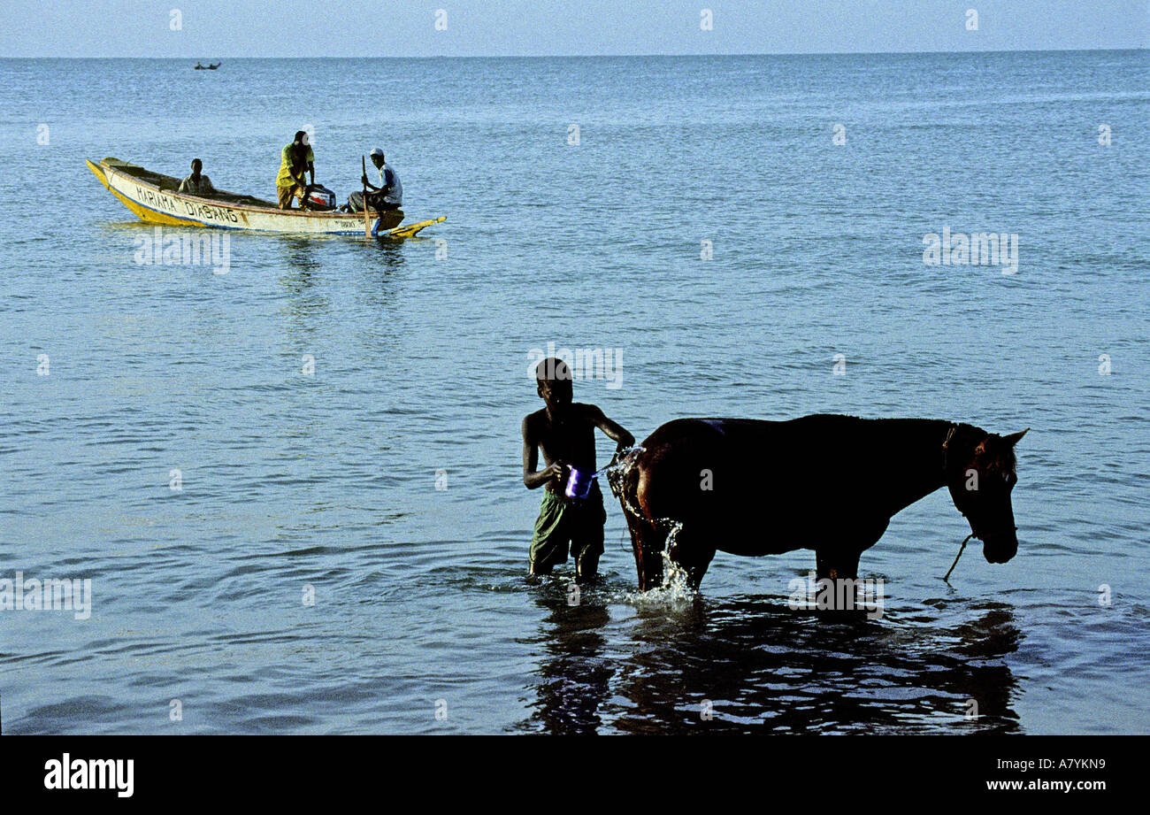Saly beach and village on the little cost hi-res stock photography and ...
