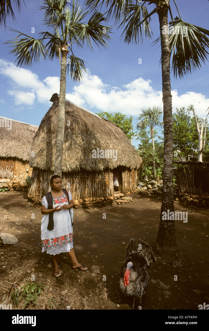 Maya daily life, Telchaquillo, Mexico Stock Photo - Alamy
