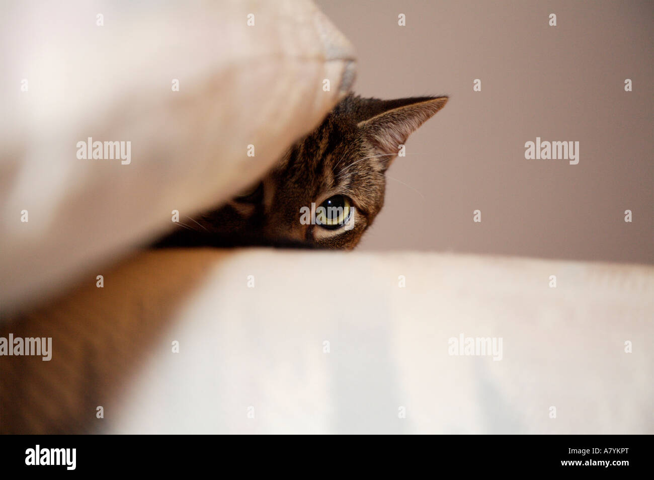 Off frame hi-res stock photography and images - Alamy