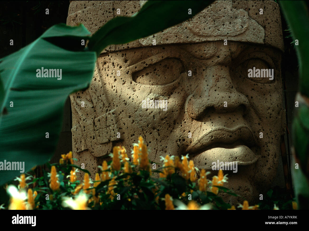 Olmec Enigma, Stone Head, Xalapa Museum, Jalapa Museum, Olmec, Colossal ...