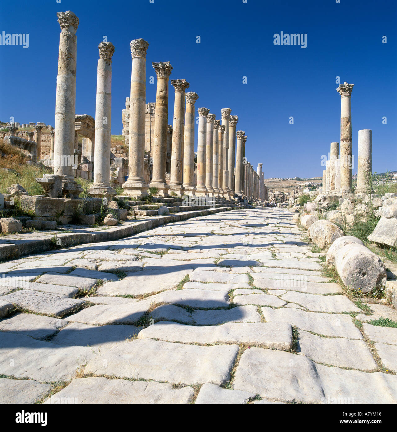 Gilead jordan hi-res stock photography and images - Alamy