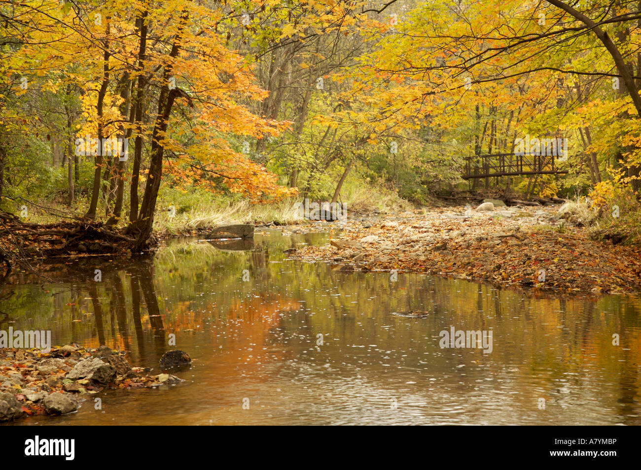 Autumn along Sawmill Creek with a foot bridge in the distance Waterfall ...