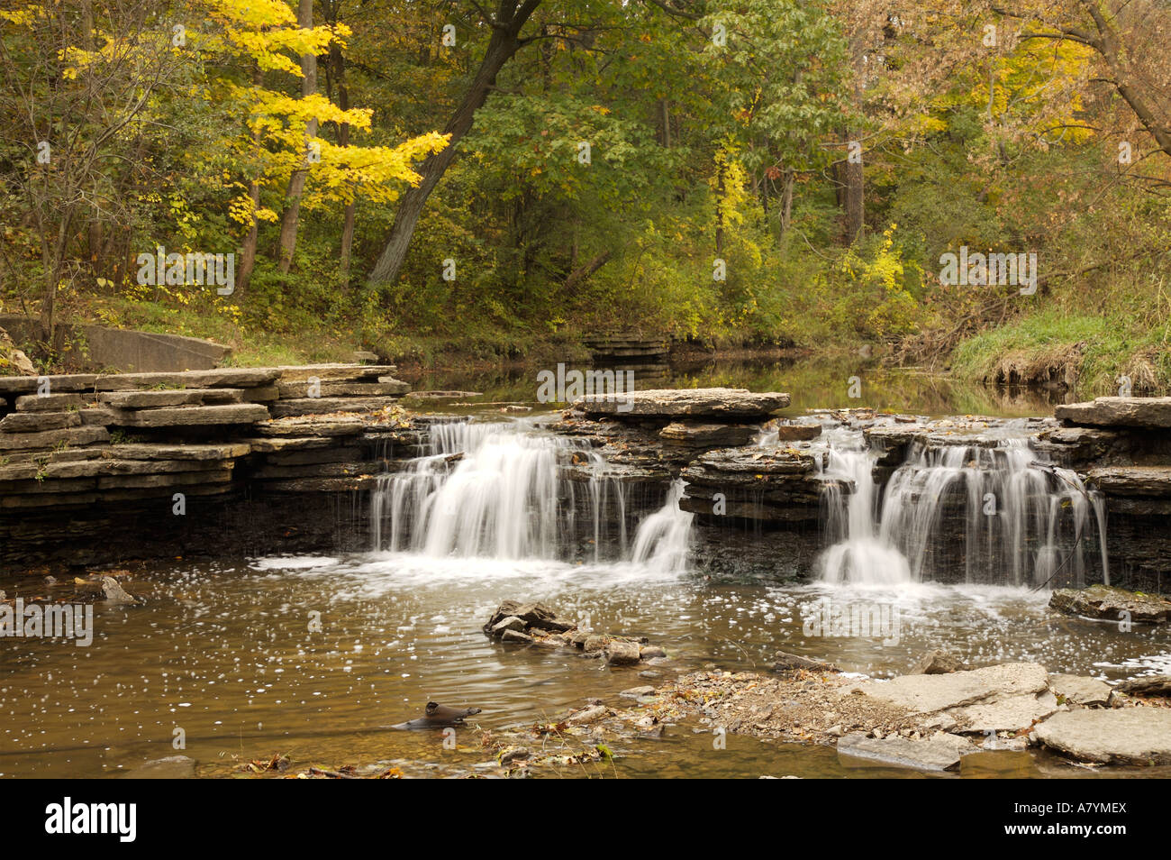 A naturalistic dam on Sawmill Creek, Waterfall Glen Forest Preserve ...