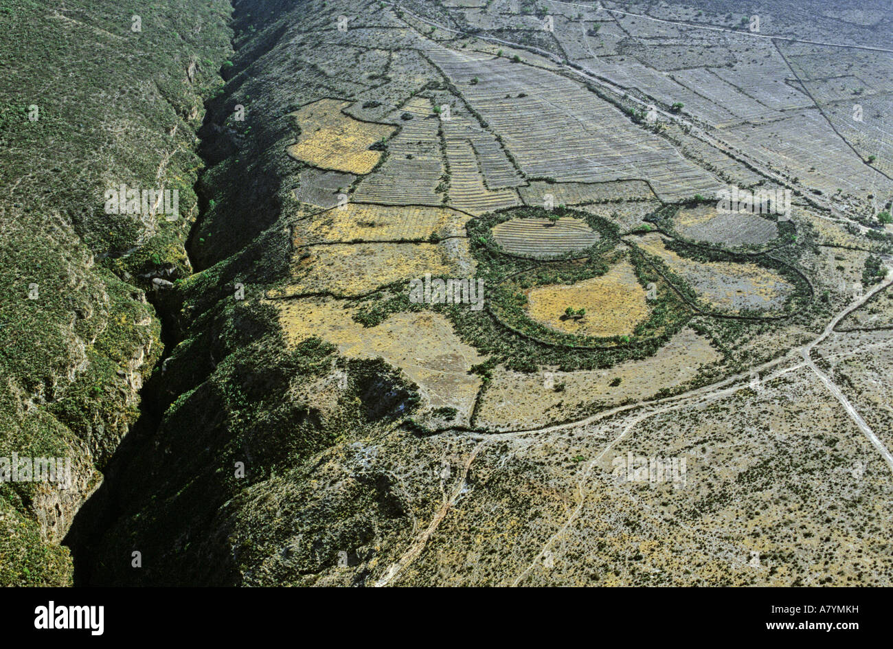 Wari peru hi-res stock photography and images - Alamy