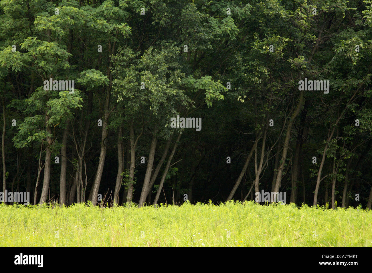 Prairies edge hi-res stock photography and images - Alamy