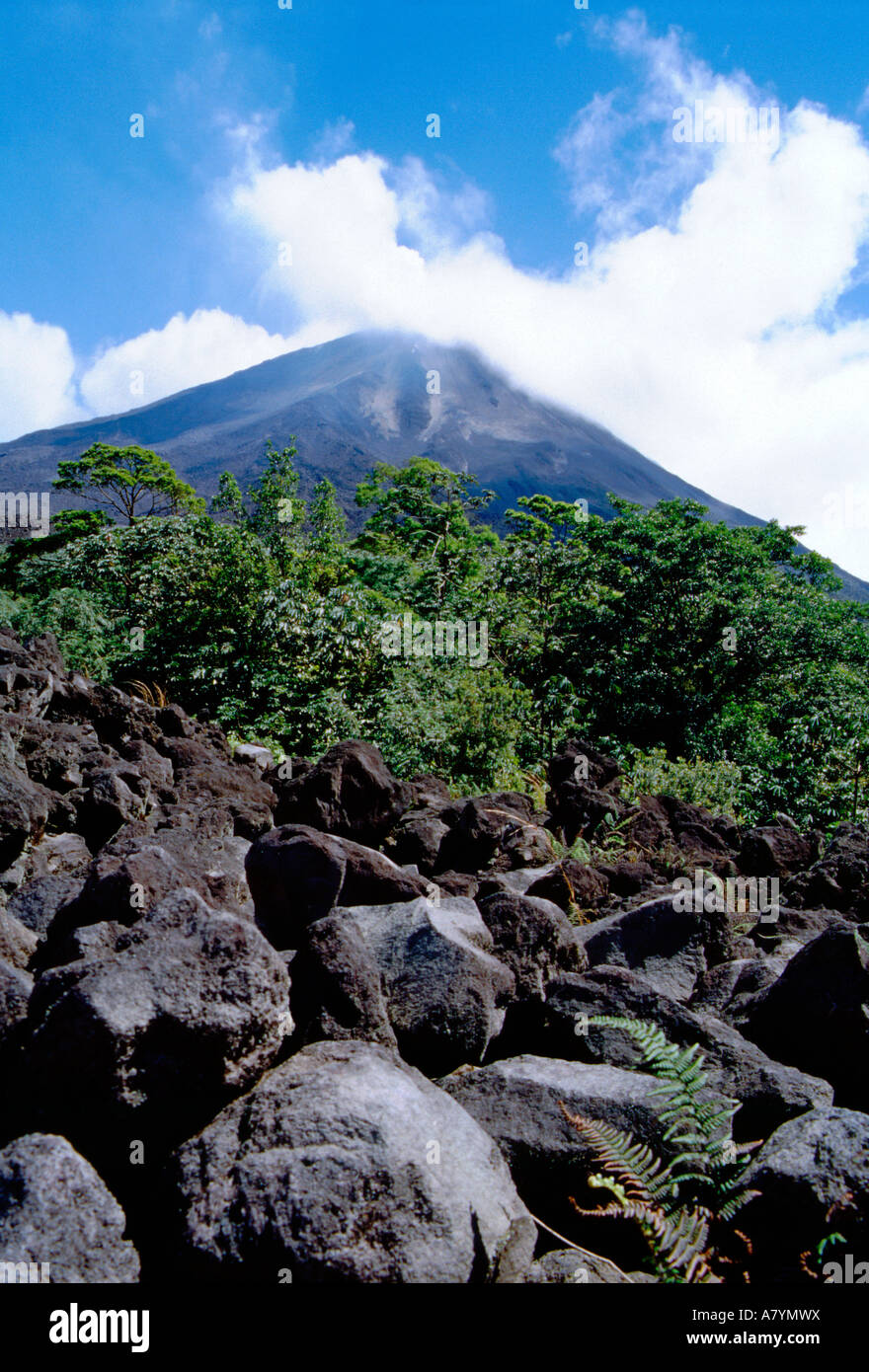 Central America, Costa Rica, Arenal Volcano (aka Volcan Arenal), Arenal ...