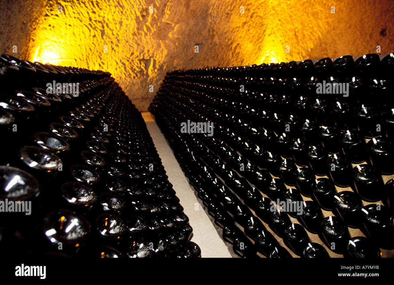 Taittinger reims cellar hi-res stock photography and images - Alamy
