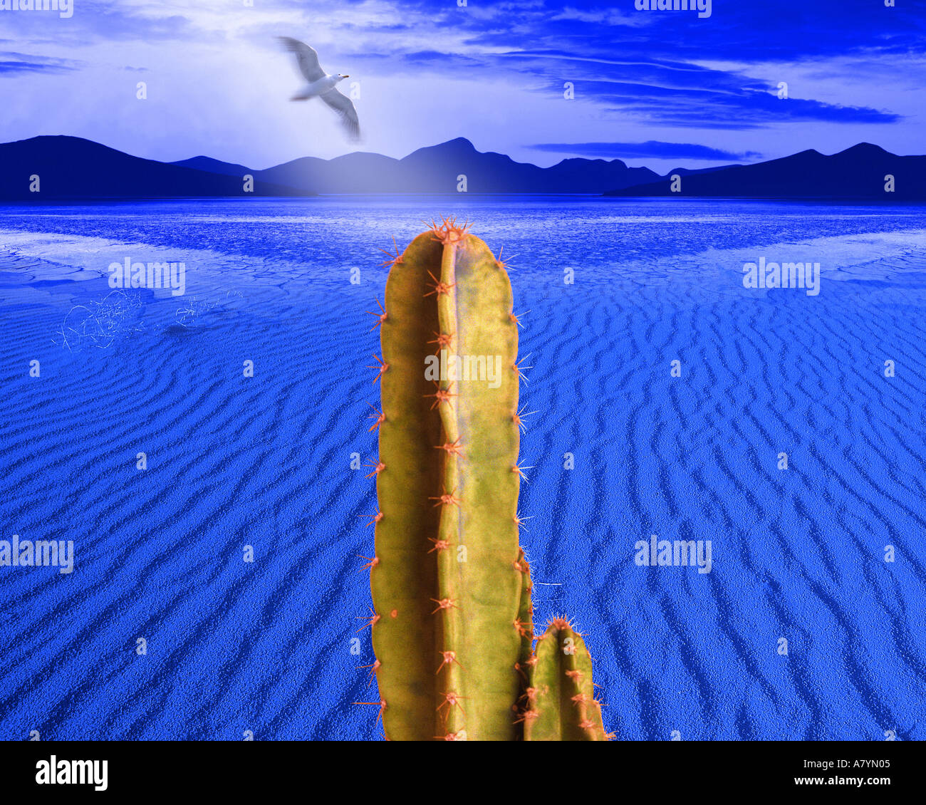 Blue desert scene scenery americana hi-res stock photography and images ...