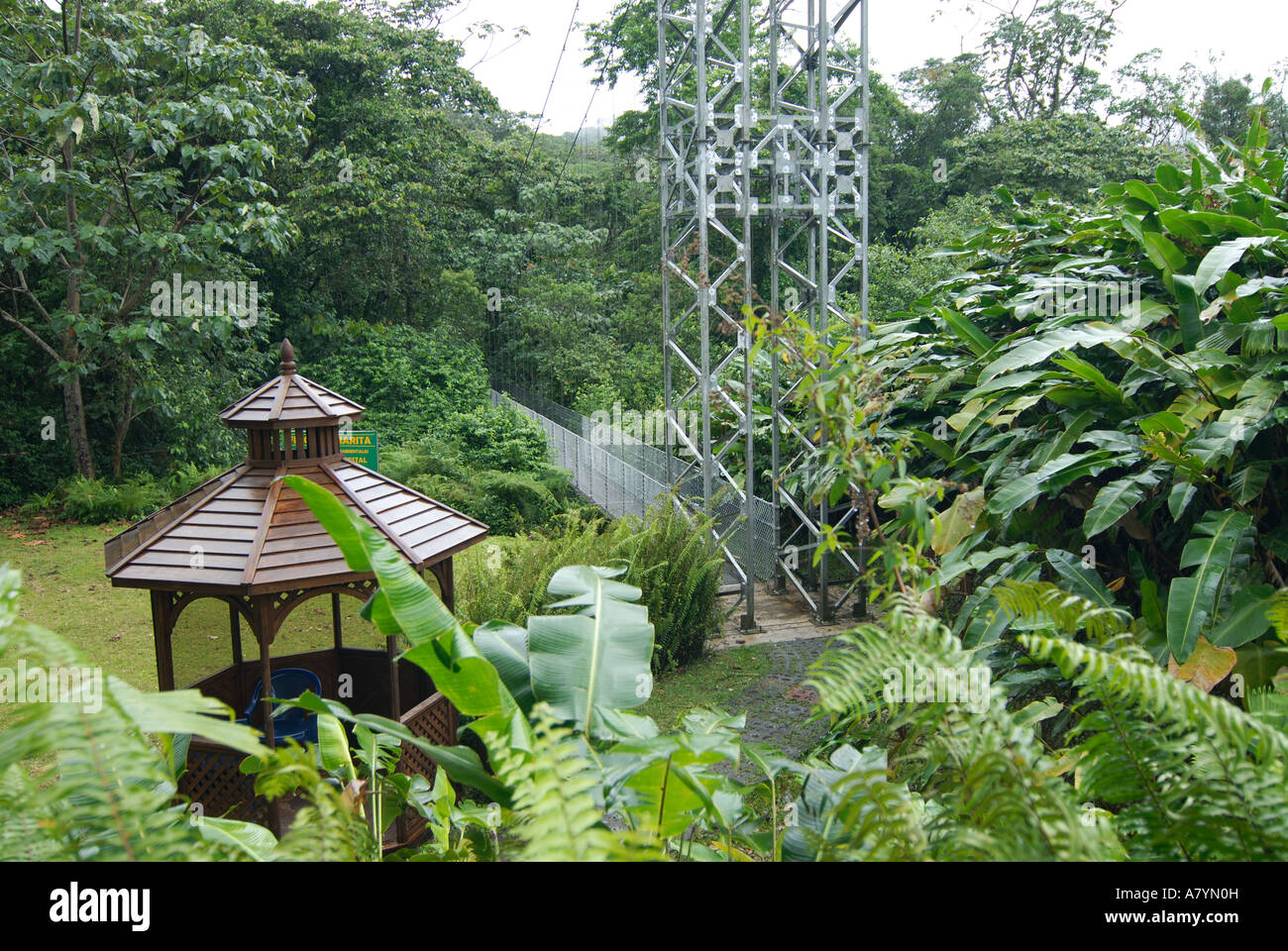 Costa Rica, Entry Bridge at Arenal Hanging Bridges Stock Photo - Alamy