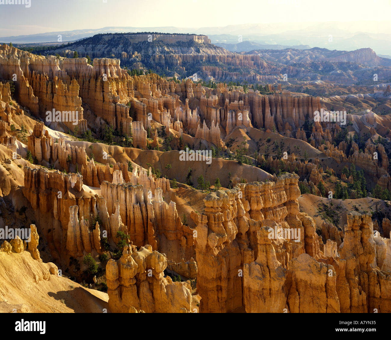 USA - UTAH: Bryce Canyon National Park seen from Sunset Point Stock ...