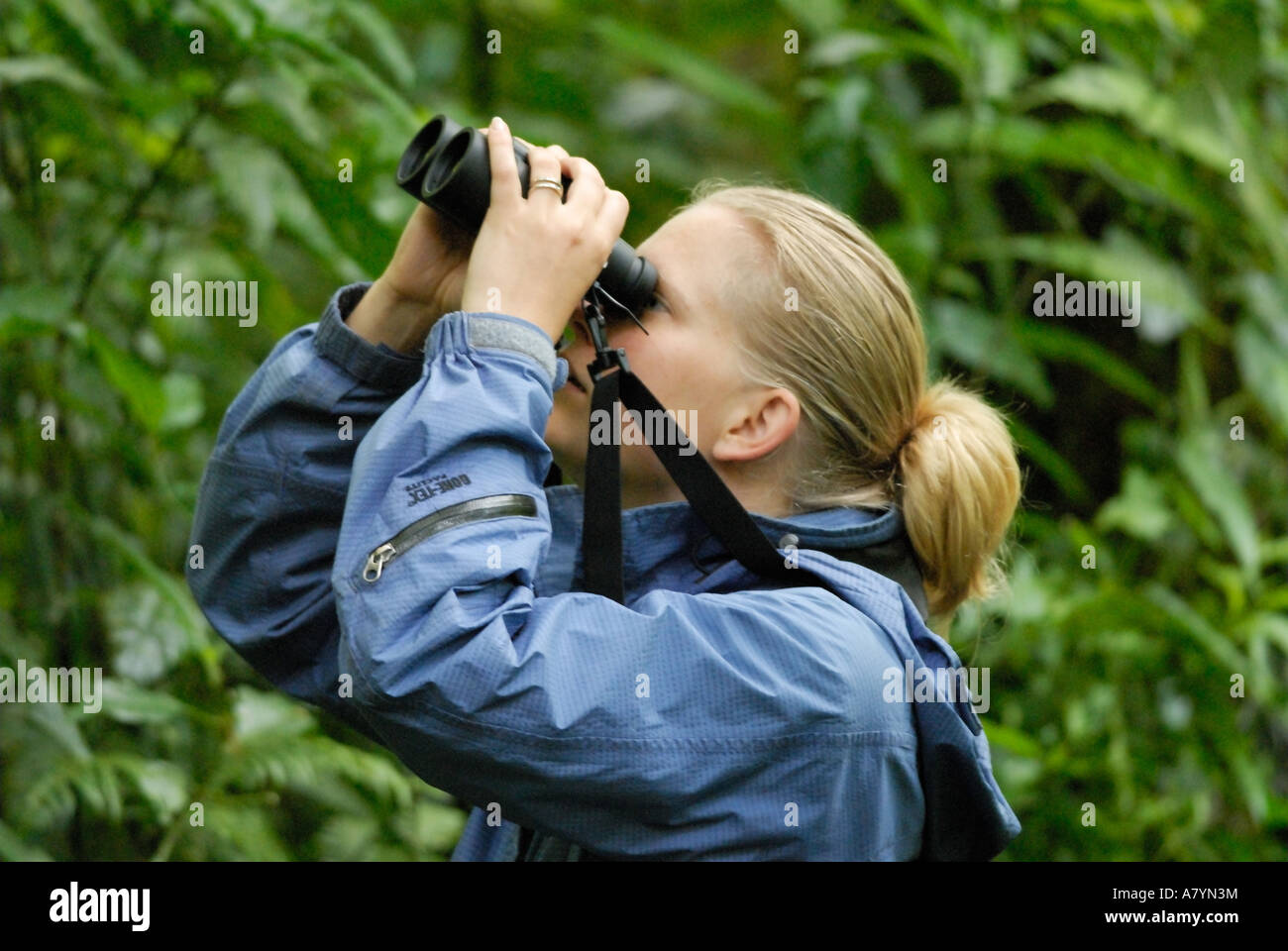 Costa Rica, Monteverde cloud forest guide birdwatching Stock Photo - Alamy