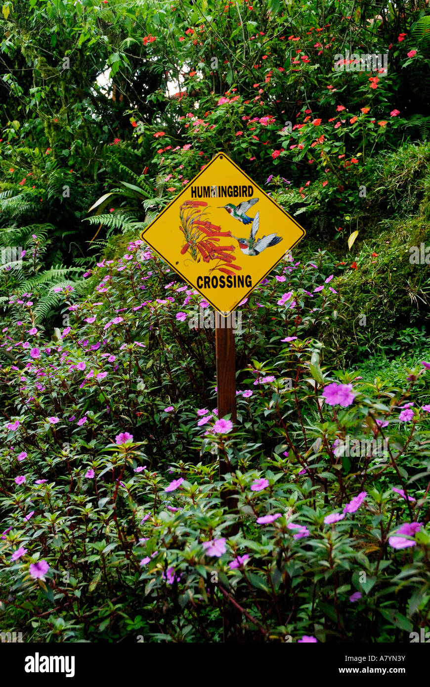 Hummingbird garden sign hi-res stock photography and images - Alamy