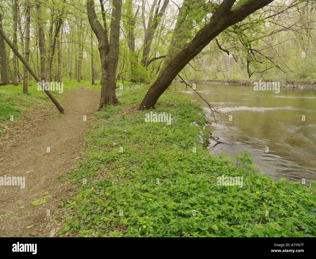 Path along Kishwaukee River Russell Woods Forest Preserve Illinois ...