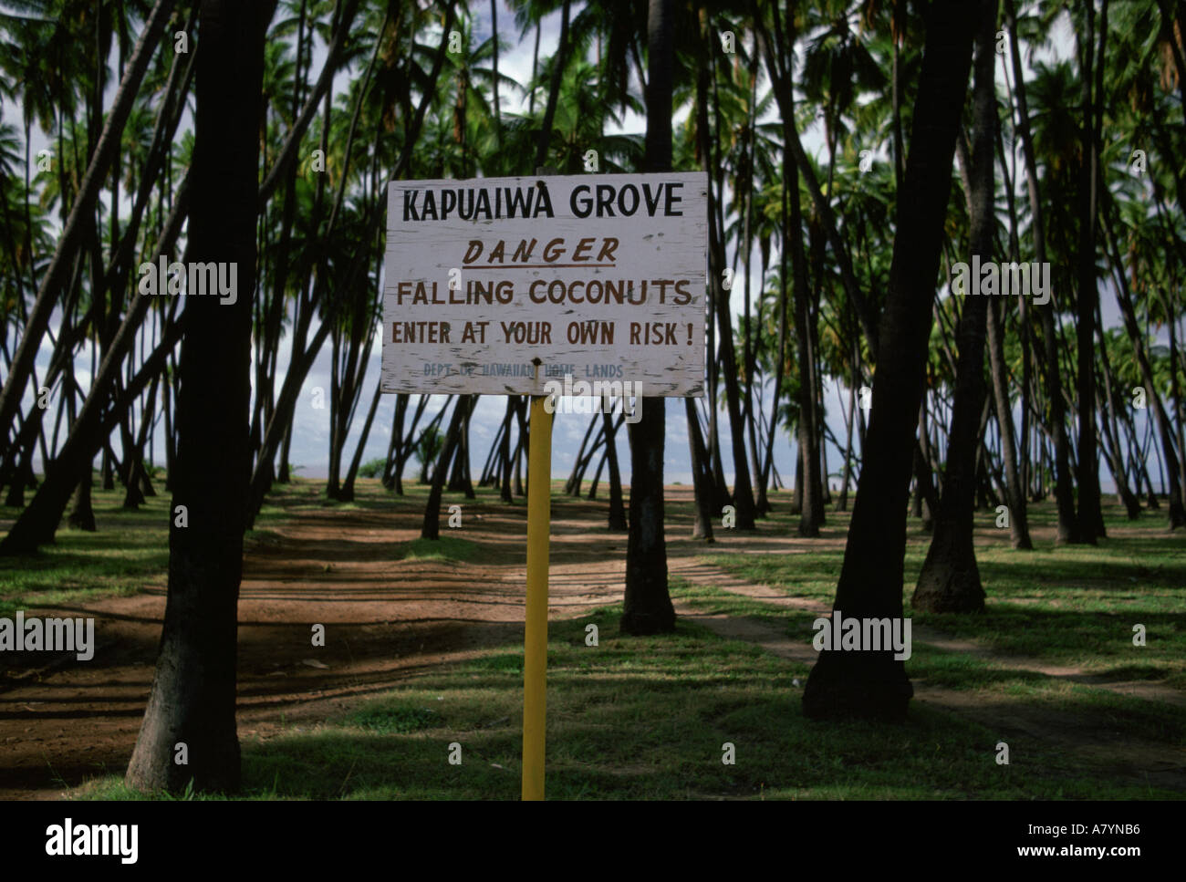 Falling coconut sign hi-res stock photography and images - Alamy