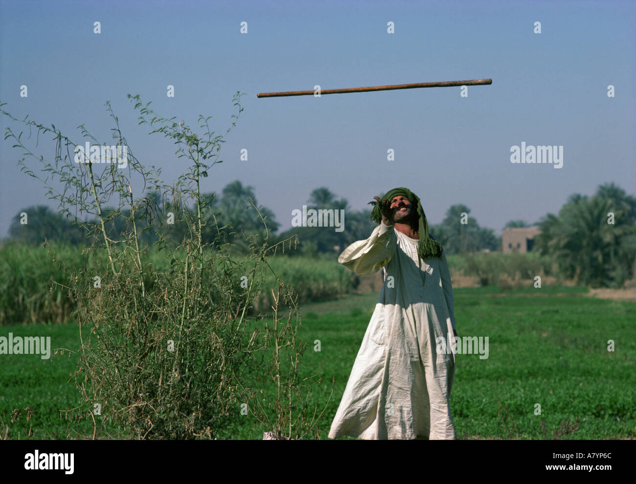 Egyptian farmer hi-res stock photography and images - Alamy
