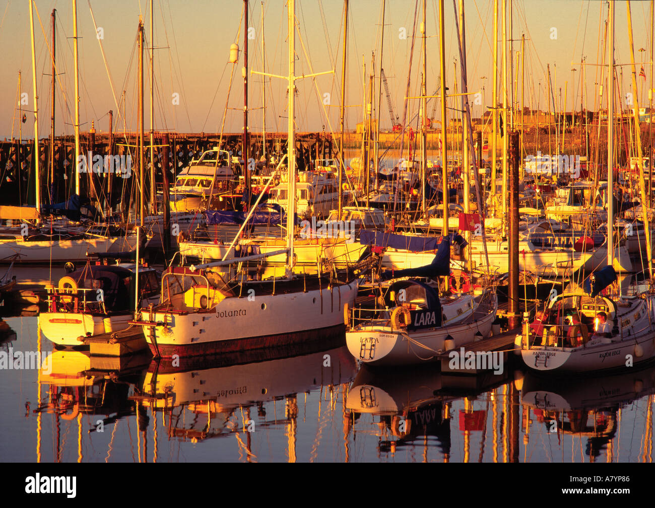 Amble marina Amble Northumberland Stock Photo - Alamy