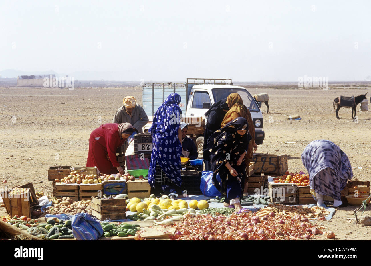 Saharawi women choose goods at a desert market stall Stock Photo - Alamy