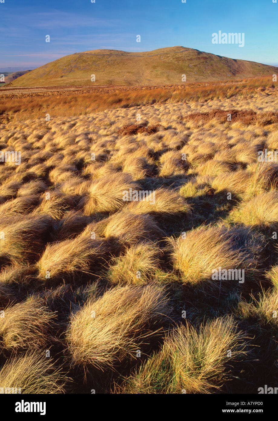 Yeavering Bell Iron Age Hillfort near Kirknewton Northumberland United ...
