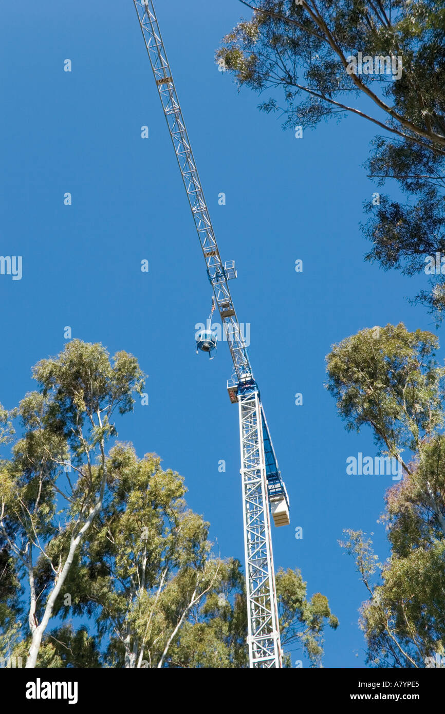 Crane amongst trees hi-res stock photography and images - Alamy