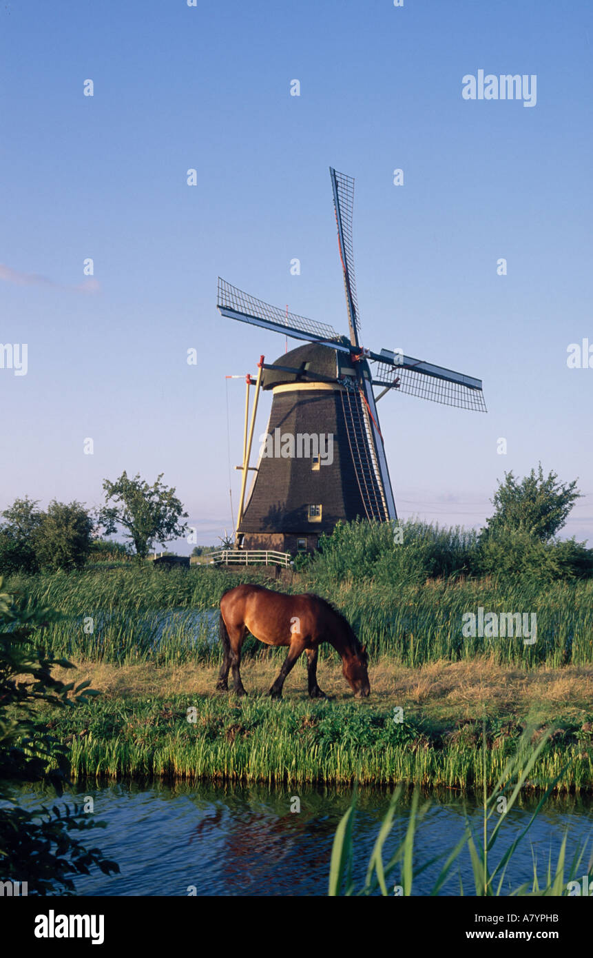 Typical mills hi-res stock photography and images - Alamy