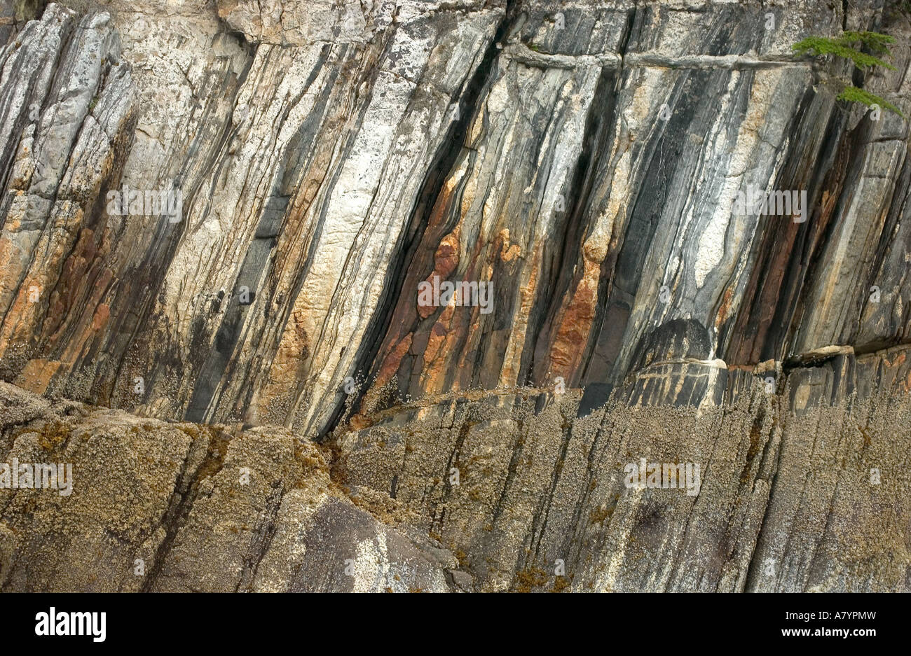 North America, USA, Alaska, Misty Fjords National Monument and ...