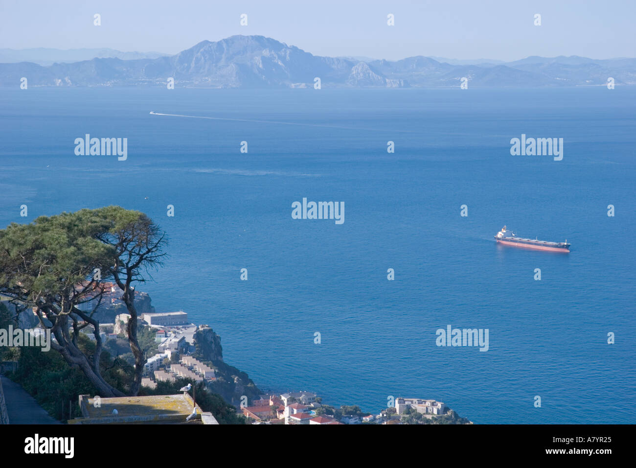 Straits of Gibraltar Gibraltar foreground Morocco background Stock ...