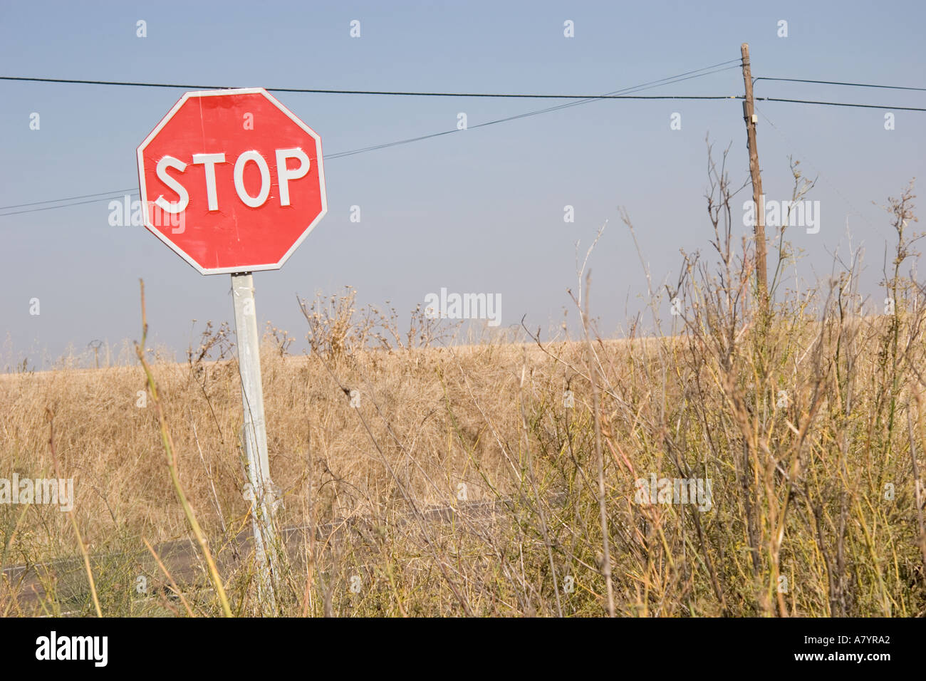 Dangerous crossroads with stop sign but poor visibility Stock Photo - Alamy