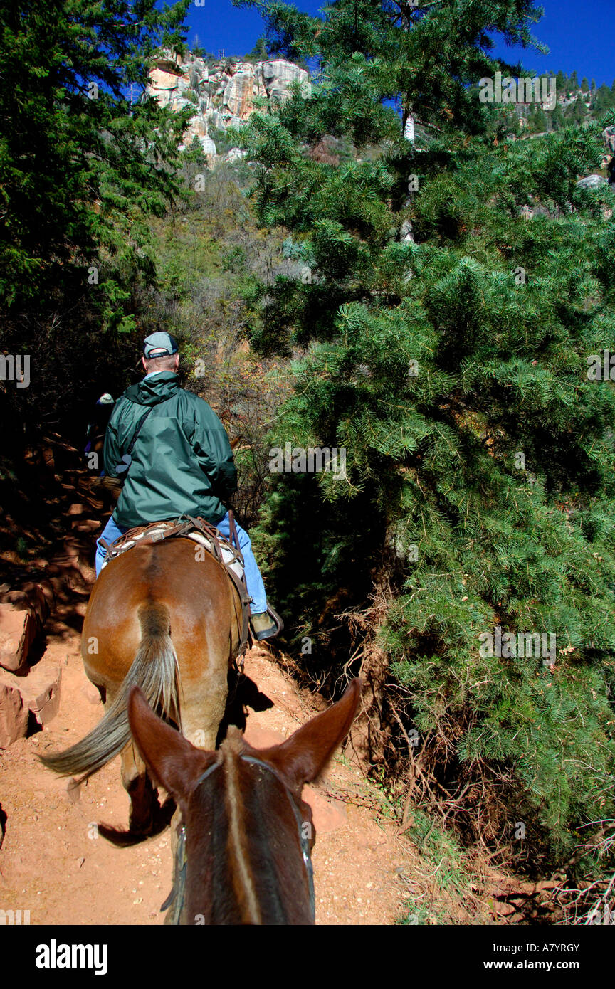 Team Mule Ride And Drive