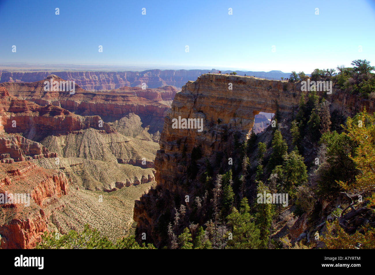 North America, USA, Arizona, Grand Canyon National Park, North Rim ...