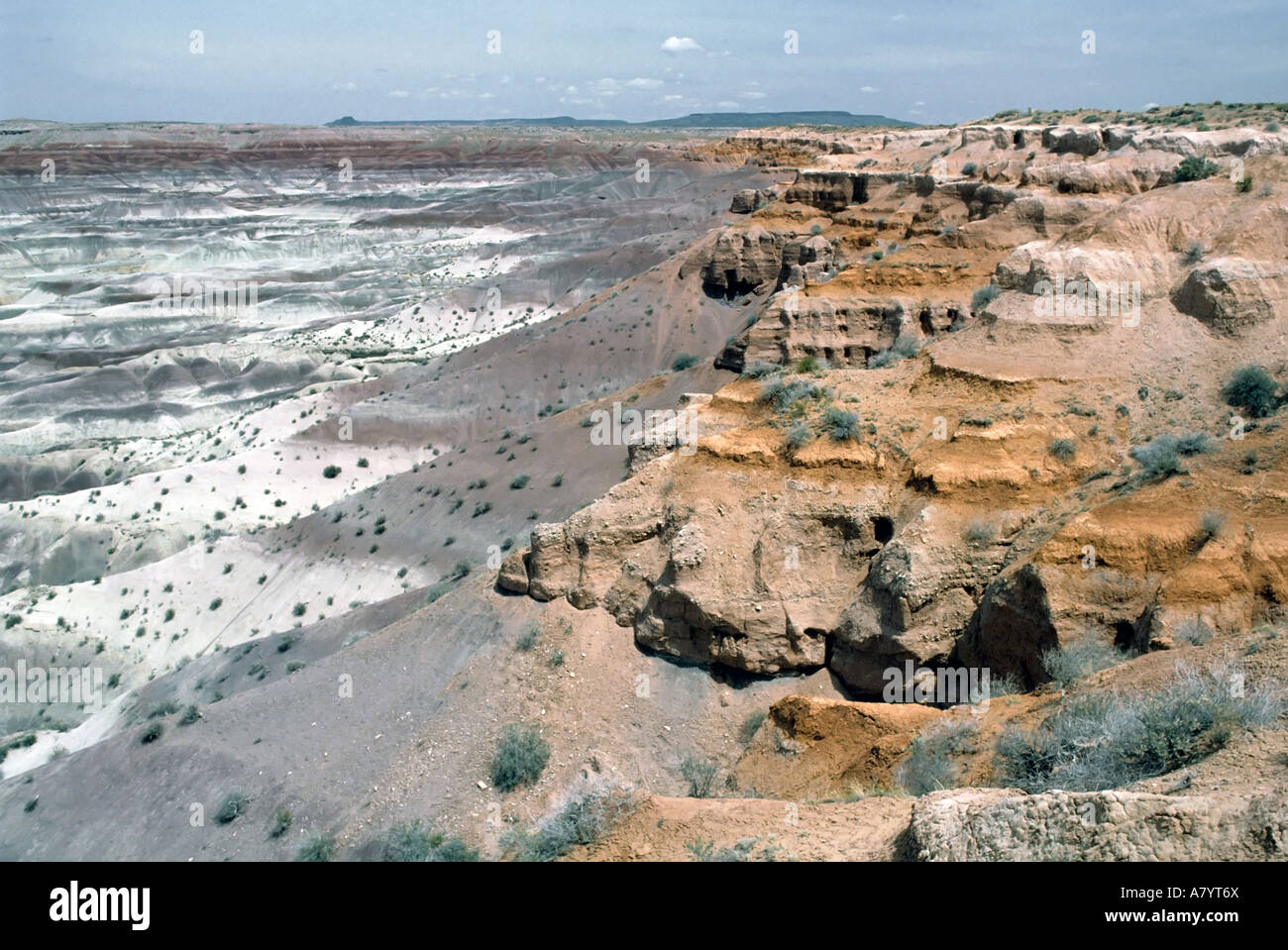 USA, Arizona, Petrified Forest National Park. View of naturally mineral ...
