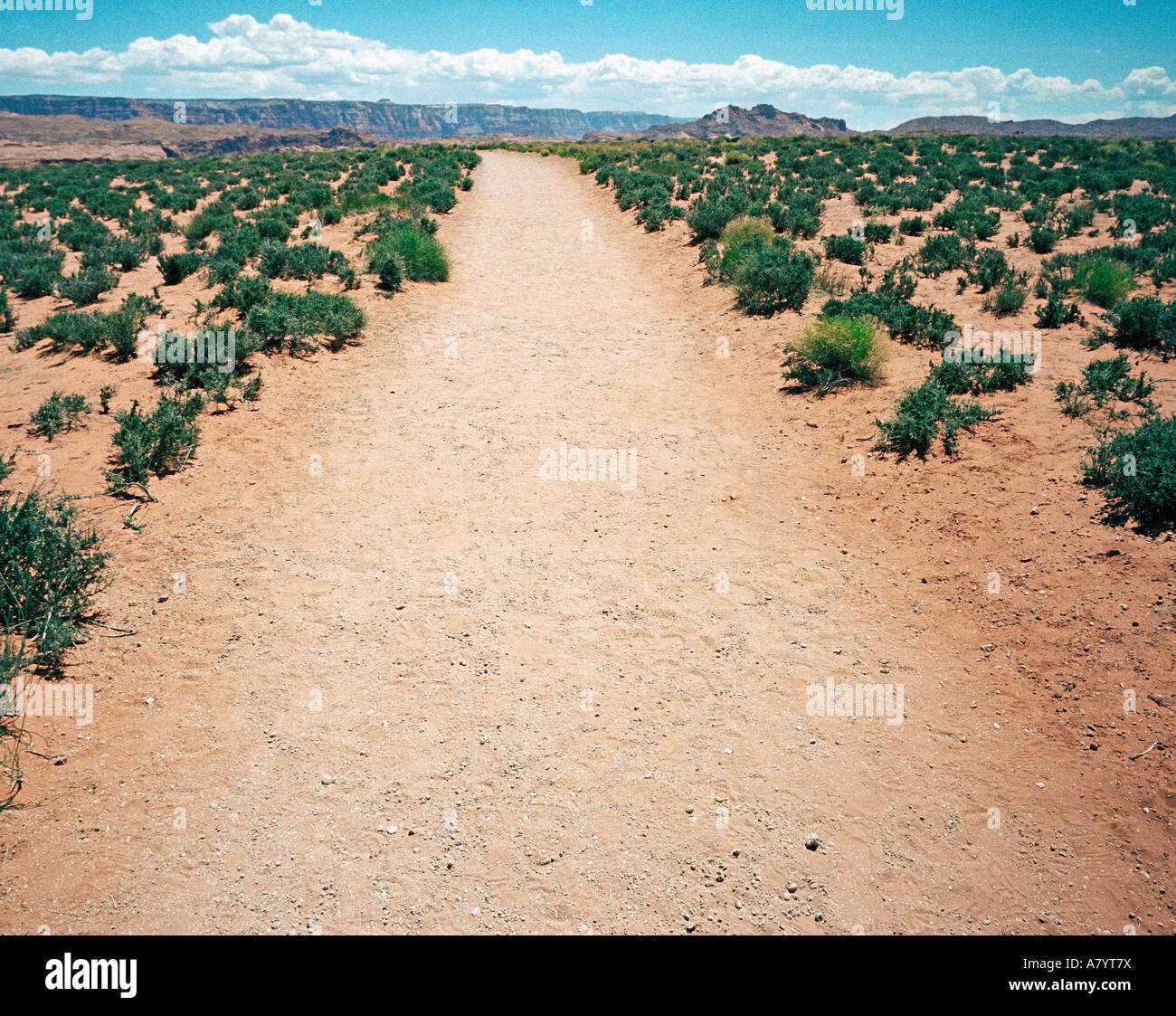 USA, Arizona. Dirt road in the desert leading to the Horseshoe Bend of ...