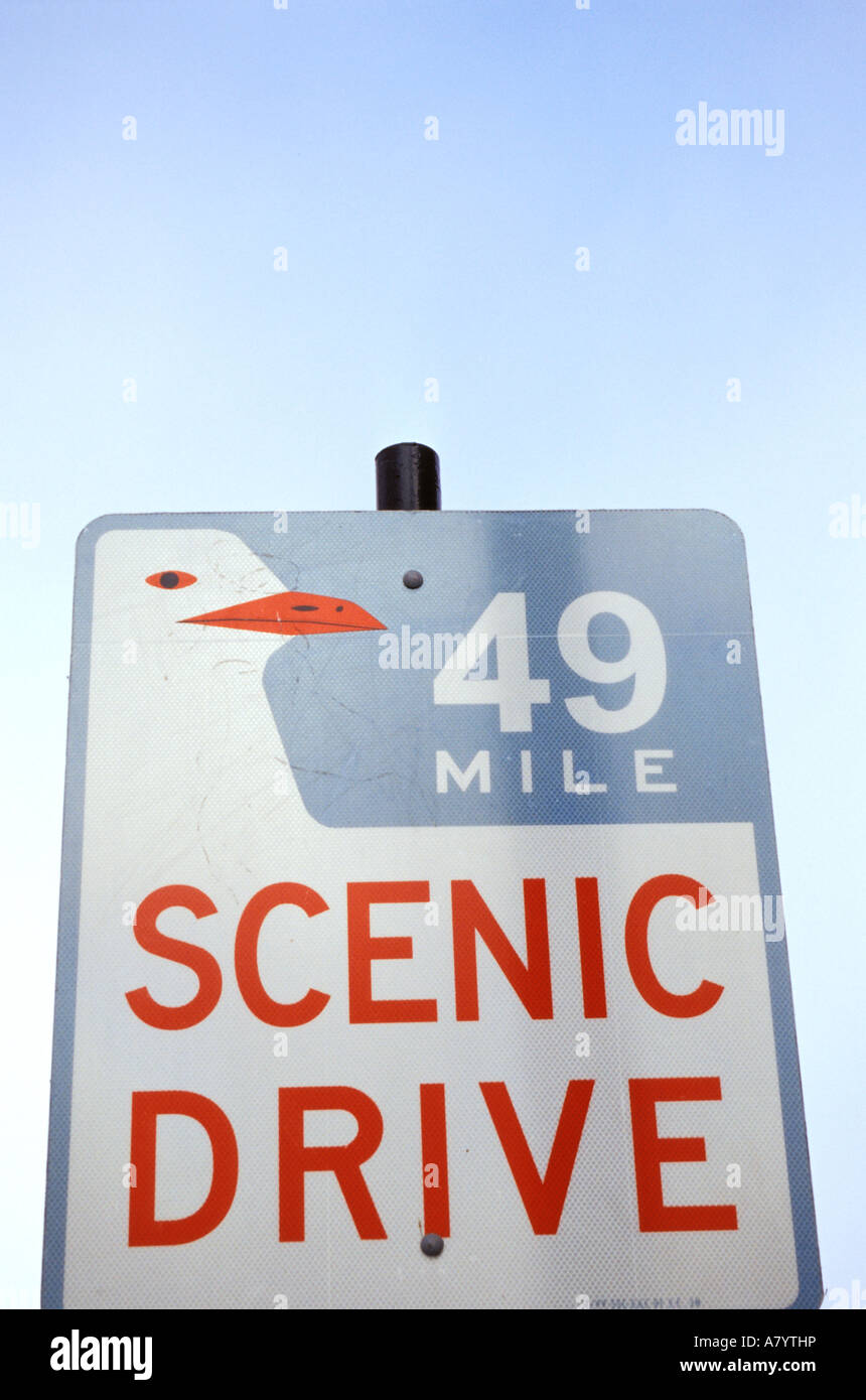 North America, USA, California, San Francisco. 49 mile scenic drive ...