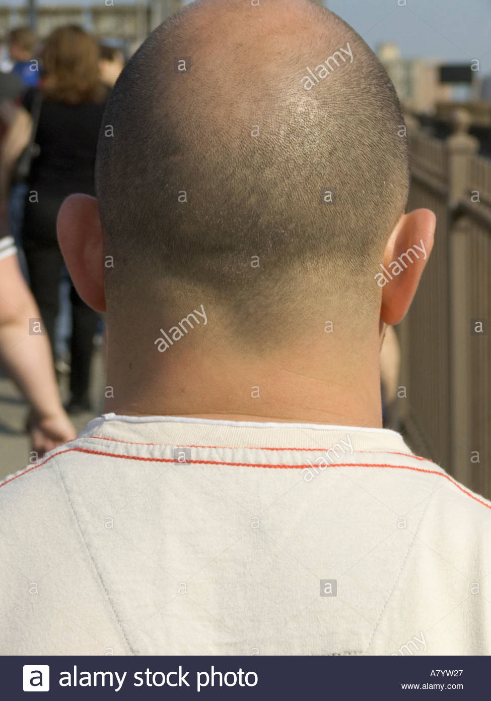 Short Neck Stock Photos & Short Neck Stock Images - Alamy