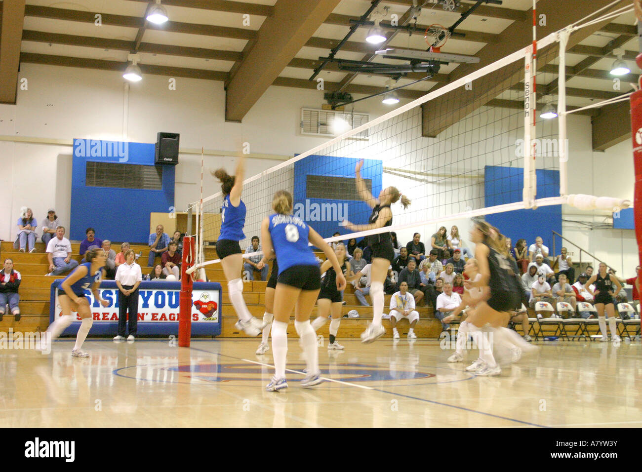 USA, California, Women's college indoor action volleyball match Stock ...