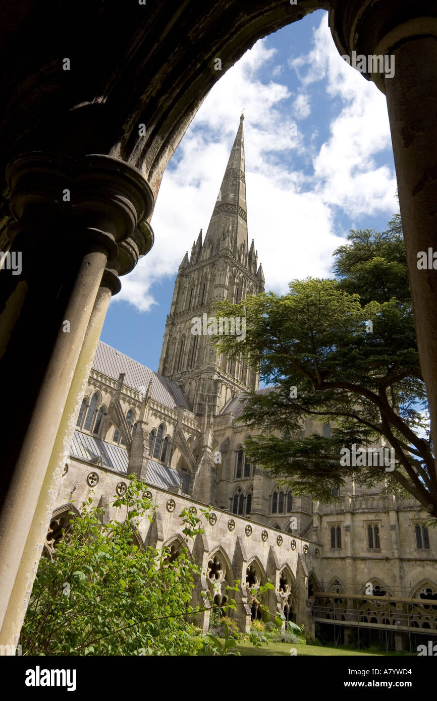 Salisbury Cathedral Spire from the Cloisters Stock Photo - Alamy