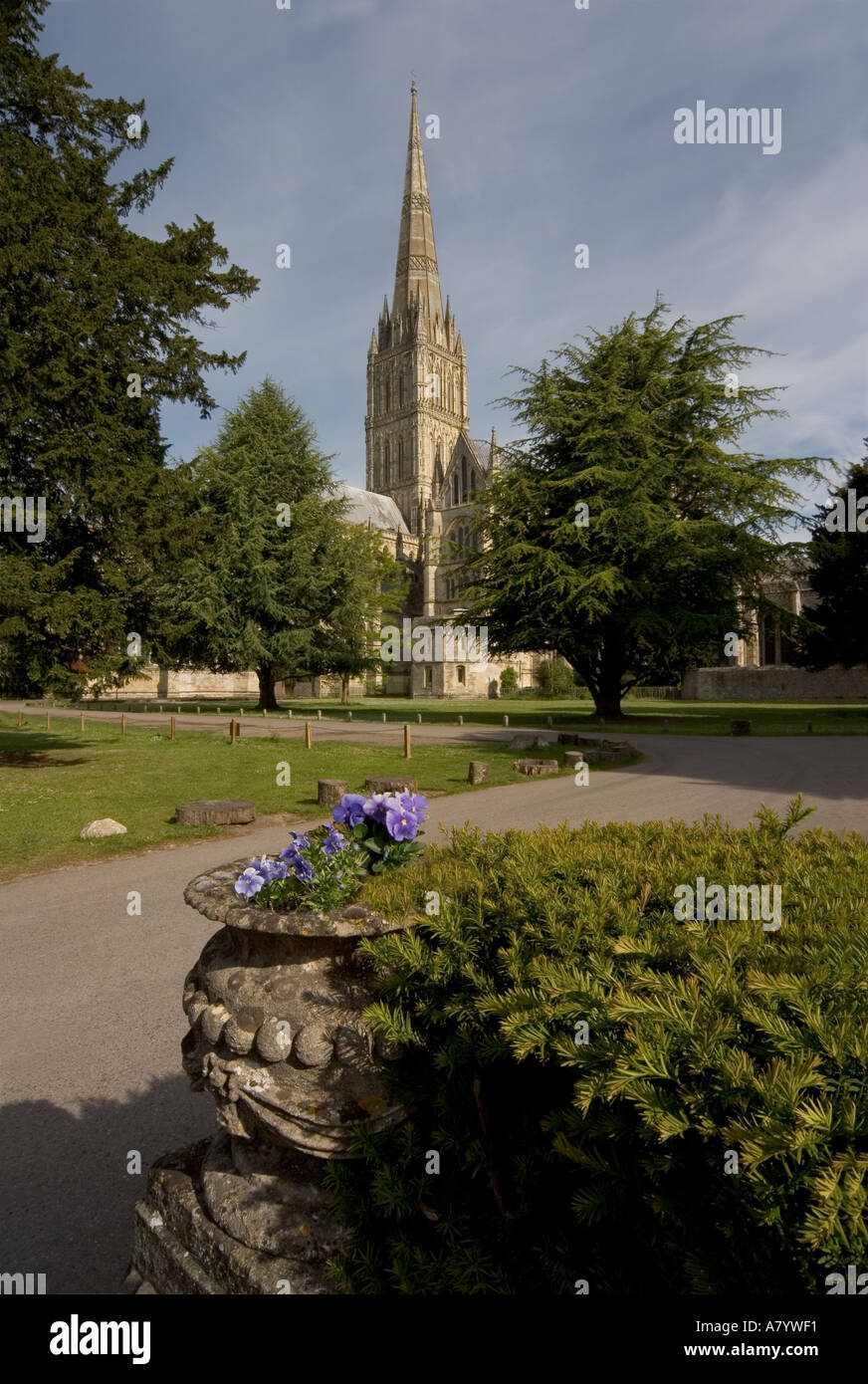 Salisbury Cathedral Spire from the East Stock Photo - Alamy