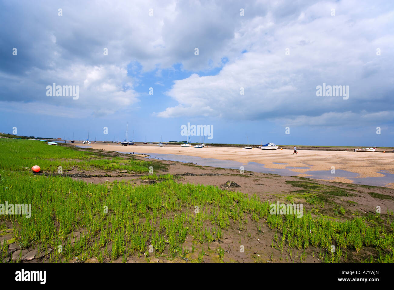 Coastal Estuary At High Tide Boats Yachts Aground At High Tide Kelp ...