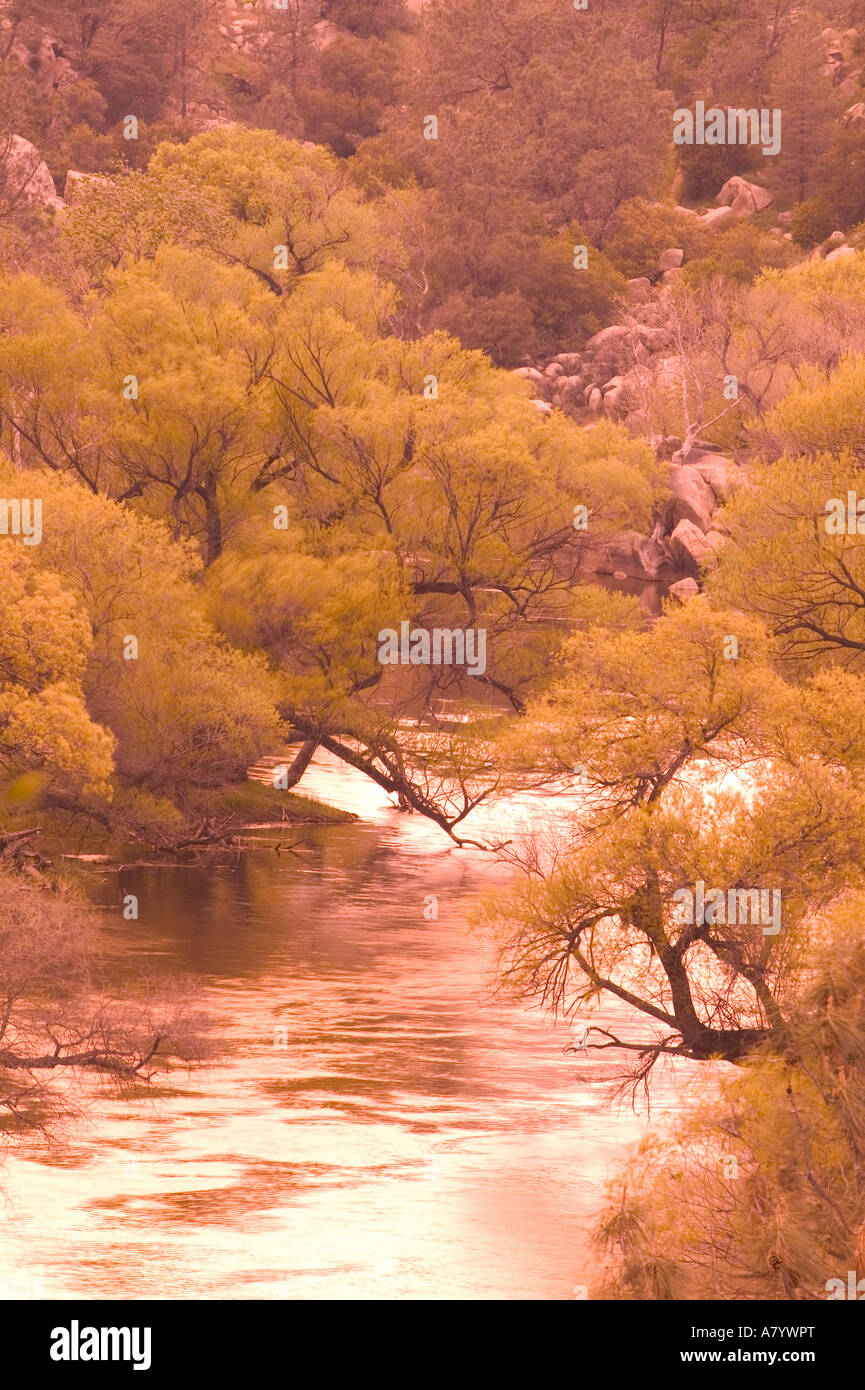 NA, USA, CA, Tehachapi Mountains, Tehachapi River with fresh spring ...