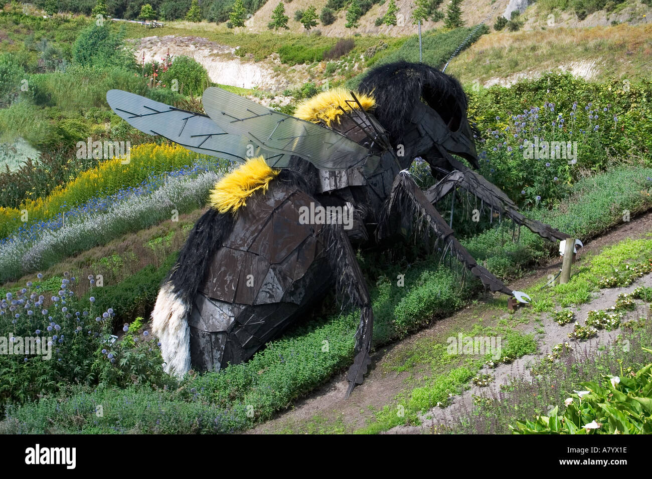 Giant sculpture of a bee at the Eden Project St Austell Cornwall ...
