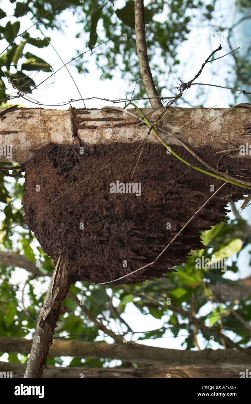 Antennaeworkers hi-res stock photography and images - Alamy