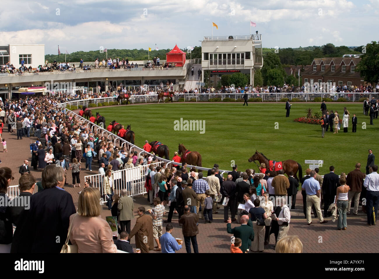 Studying the horses in the Parade Ring before the race Stock Photo - Alamy