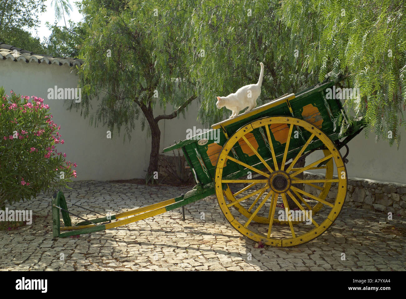Algarve, Rustic Cart & Cat Stock Photo - Alamy