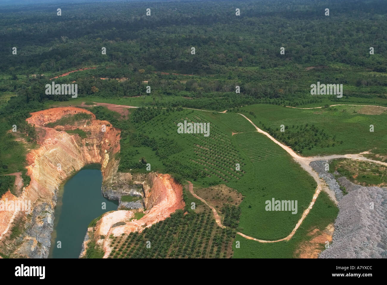 Aerial of mined out surface gold mine pit showing replanting sides of ...