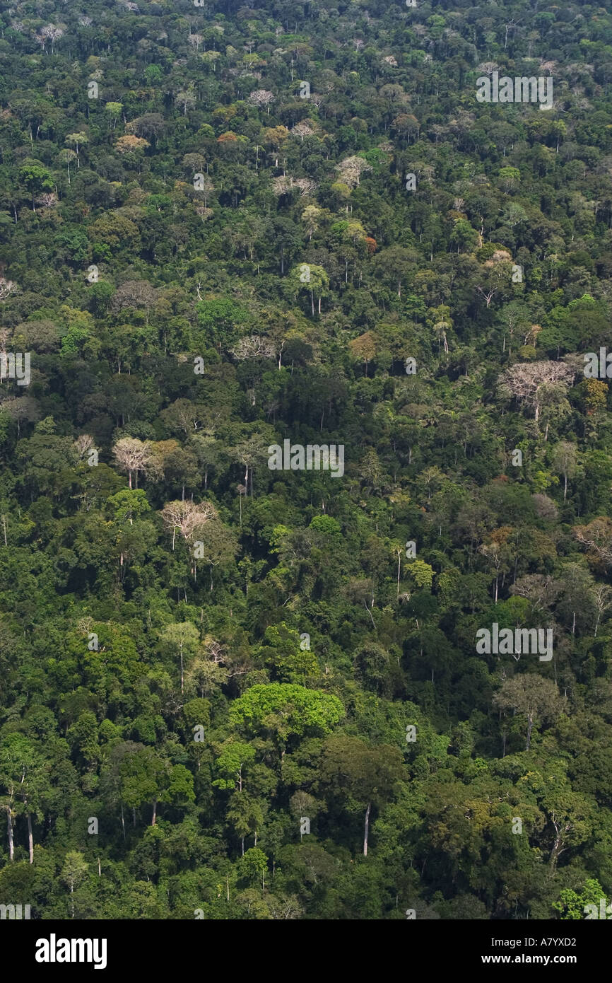 Helicopter logging hi-res stock photography and images - Alamy