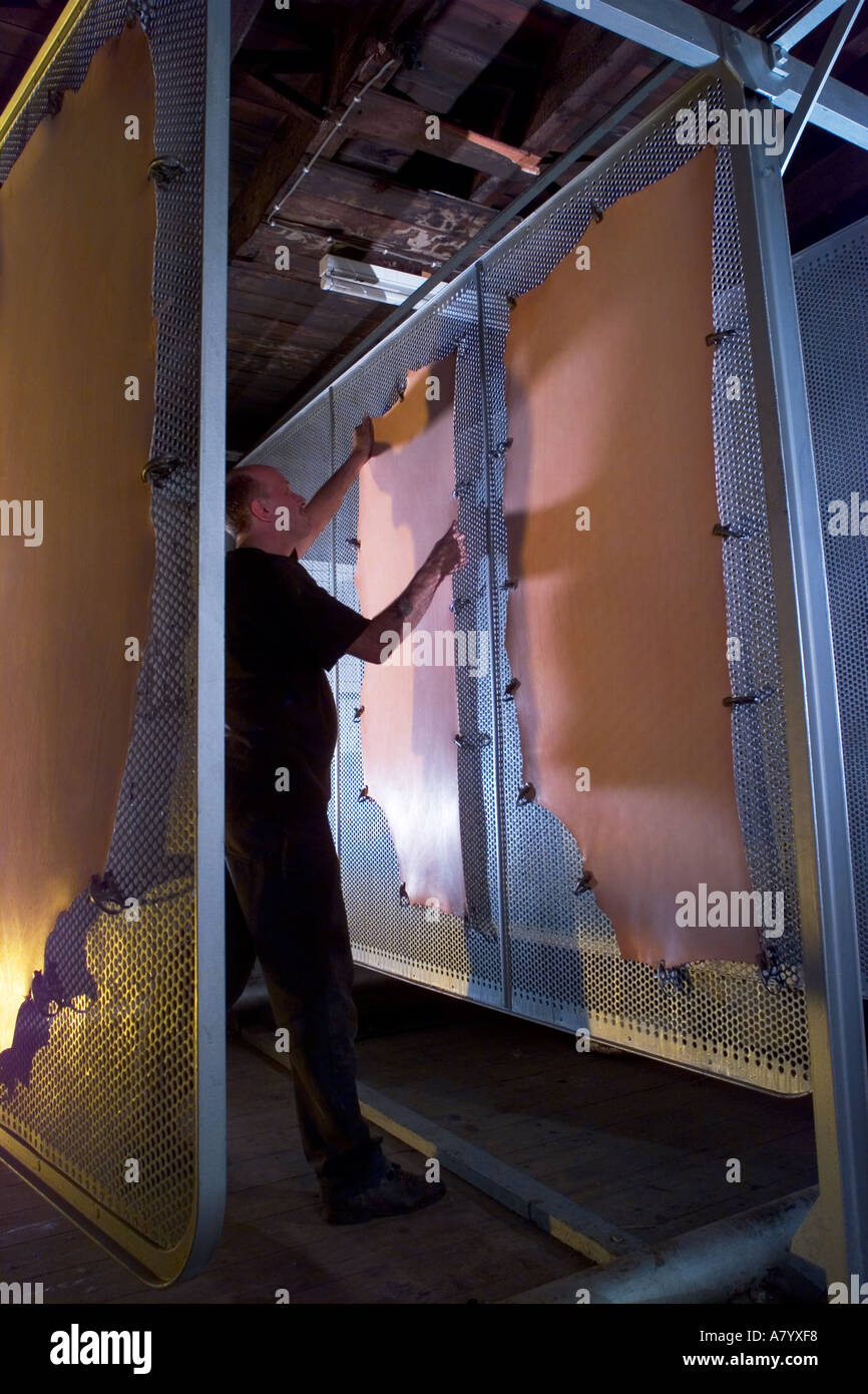 Stretched hide hi-res stock photography and images - Alamy