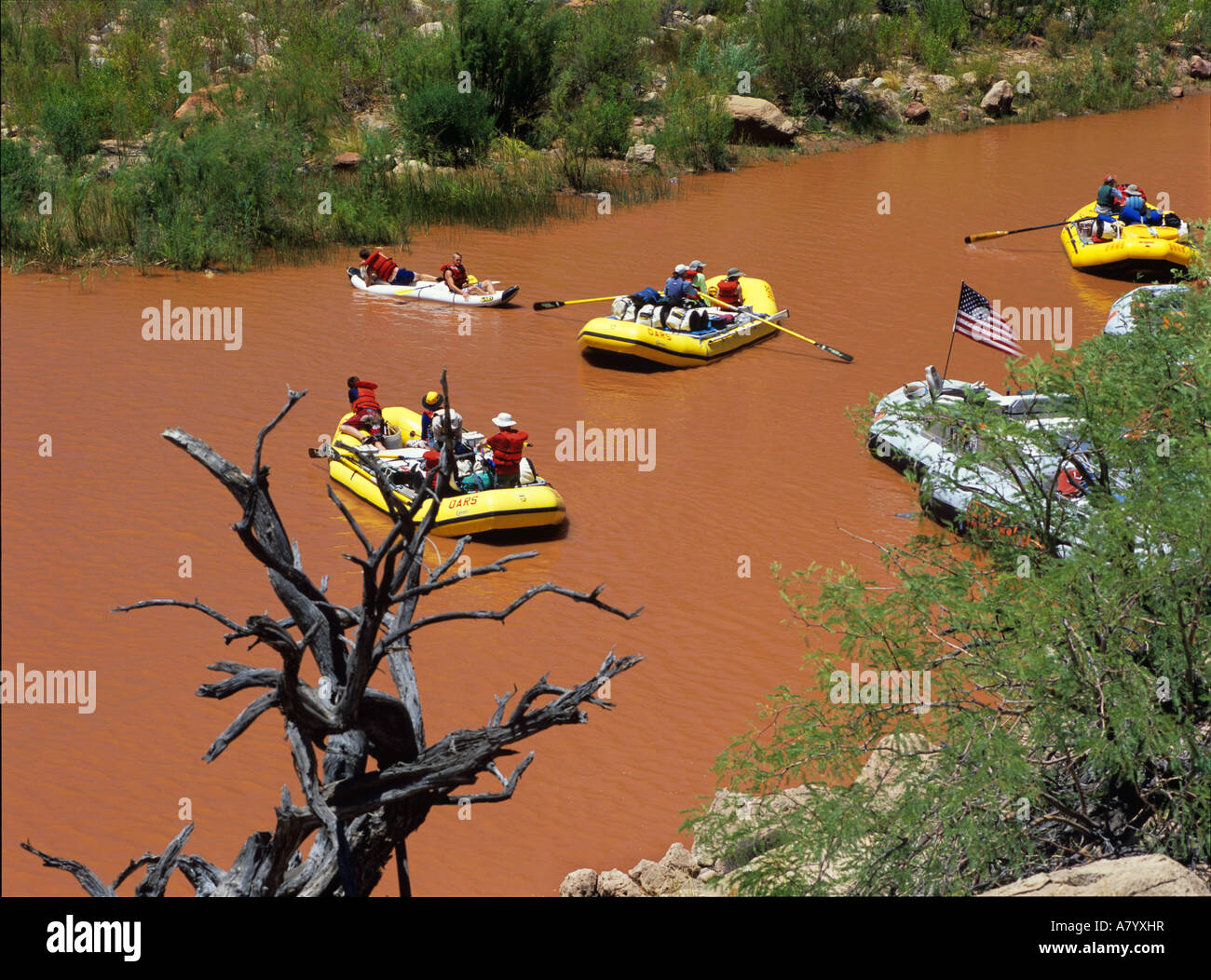 Oar powered rafts turn into the Colorado River where it meets the ...